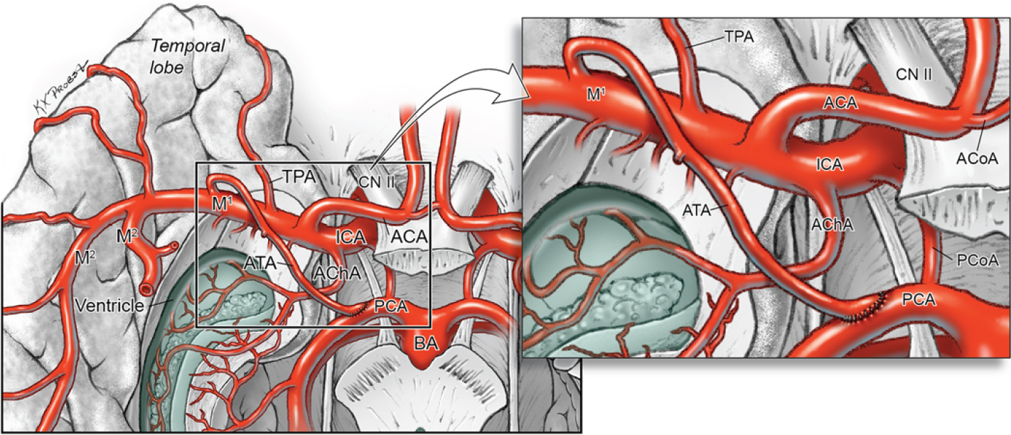 origin的pca分值图,og中大图套小图,og四图合并(第3页)_大山谷图库