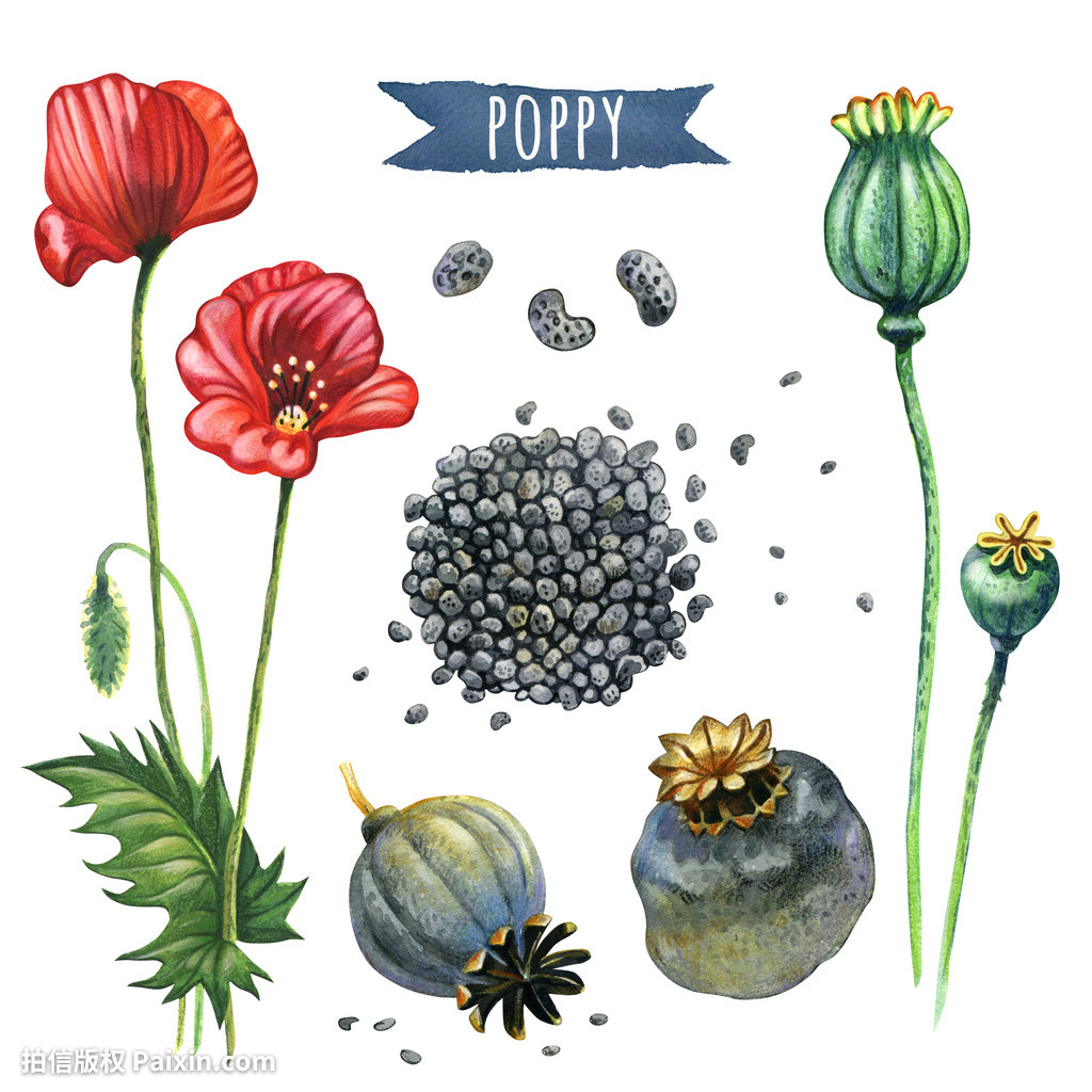 患者长期使用吗啡，到底会不会上瘾？-高音主治医师-爱问医生